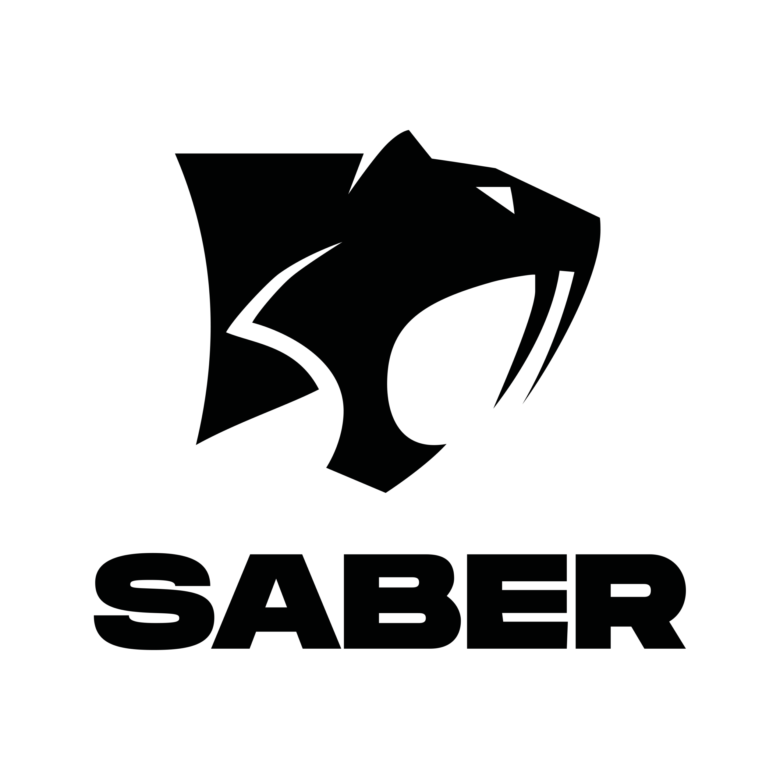 Saber Interactive | VGC
