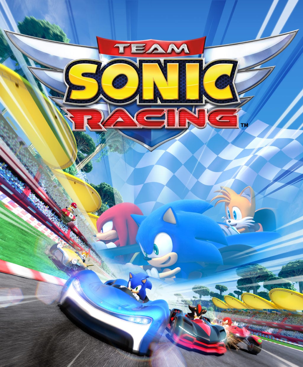 Team Sonic Racing | VGC