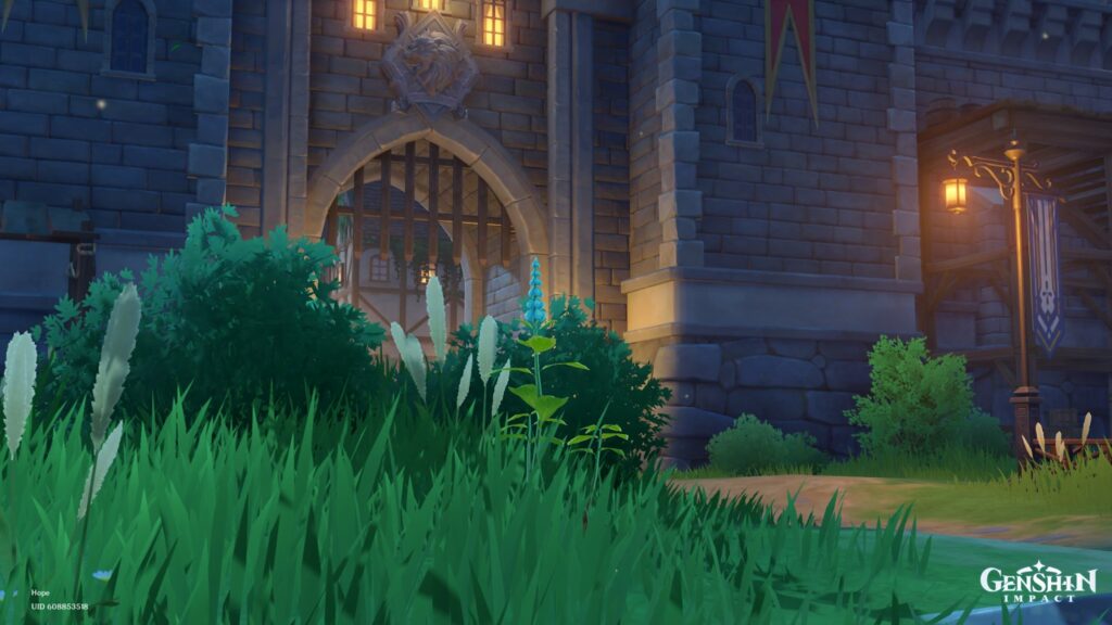 Genshin Impact wood and materials: A guide to crafting item locations | VGC