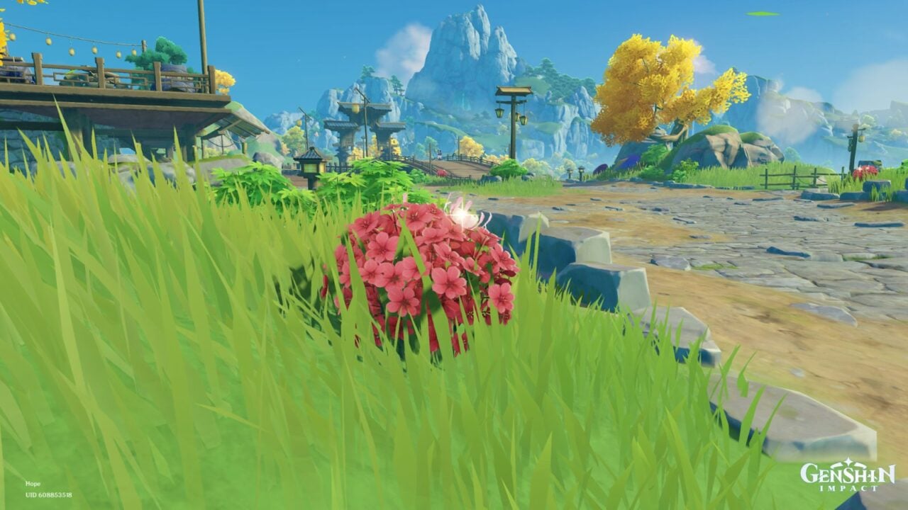 Genshin Impact wood and materials: A guide to crafting item locations | VGC