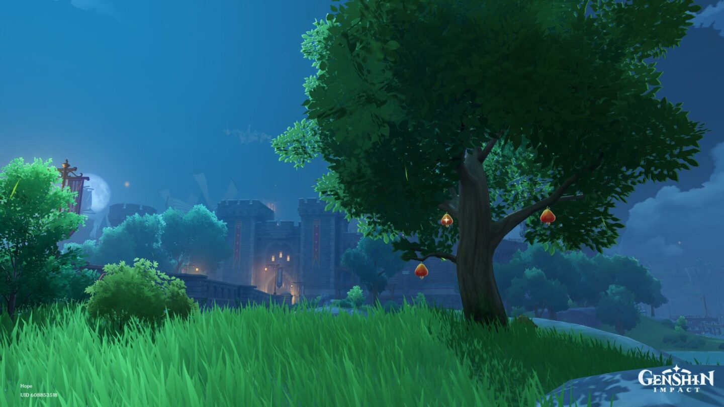 Genshin Impact wood and materials: A guide to crafting item locations | VGC