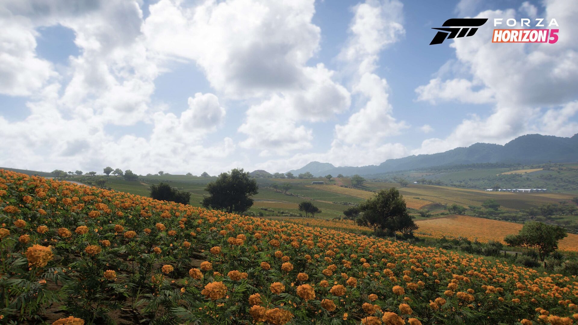 Forza Horizon 5 screens reveal the game’s 11 ‘distinct and unique ...