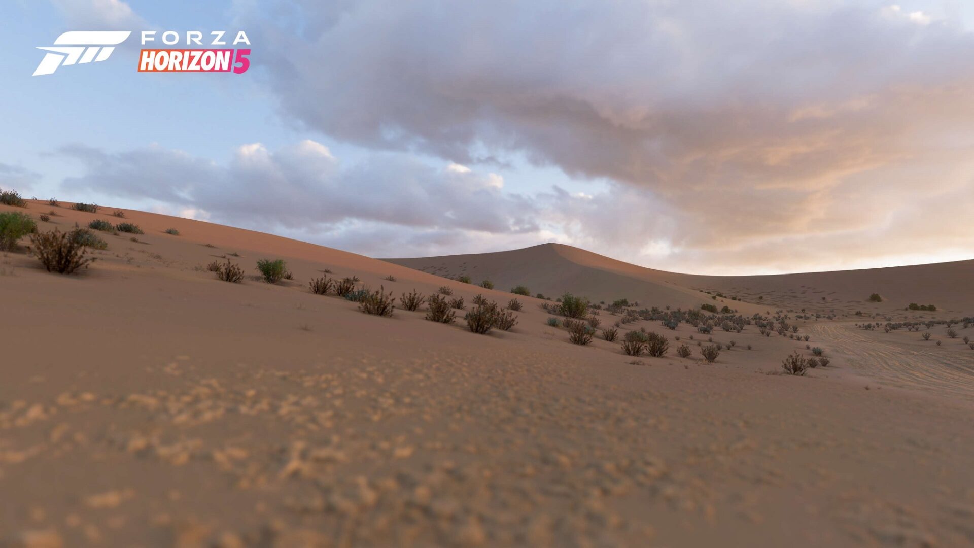 Forza Horizon 5 screens reveal the game’s 11 ‘distinct and unique ...