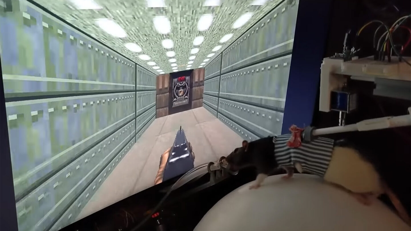A scientist who taught rats how to play Doom II wants to stream it on ...