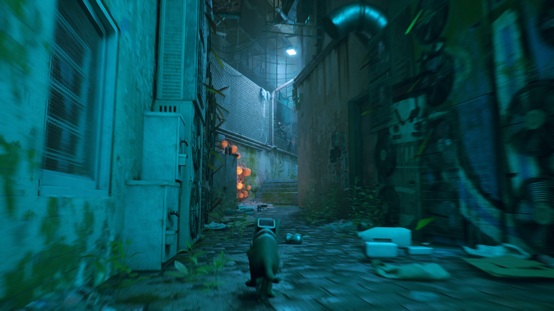 Stray is finally challenging video games’ obsession with dogs | VGC