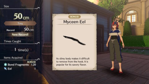 Fire Emblem Engage Fishing Guide | VGC