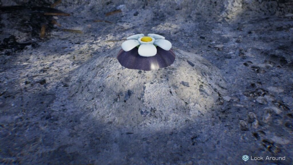 Pikmin 4 Rock Onion location | VGC