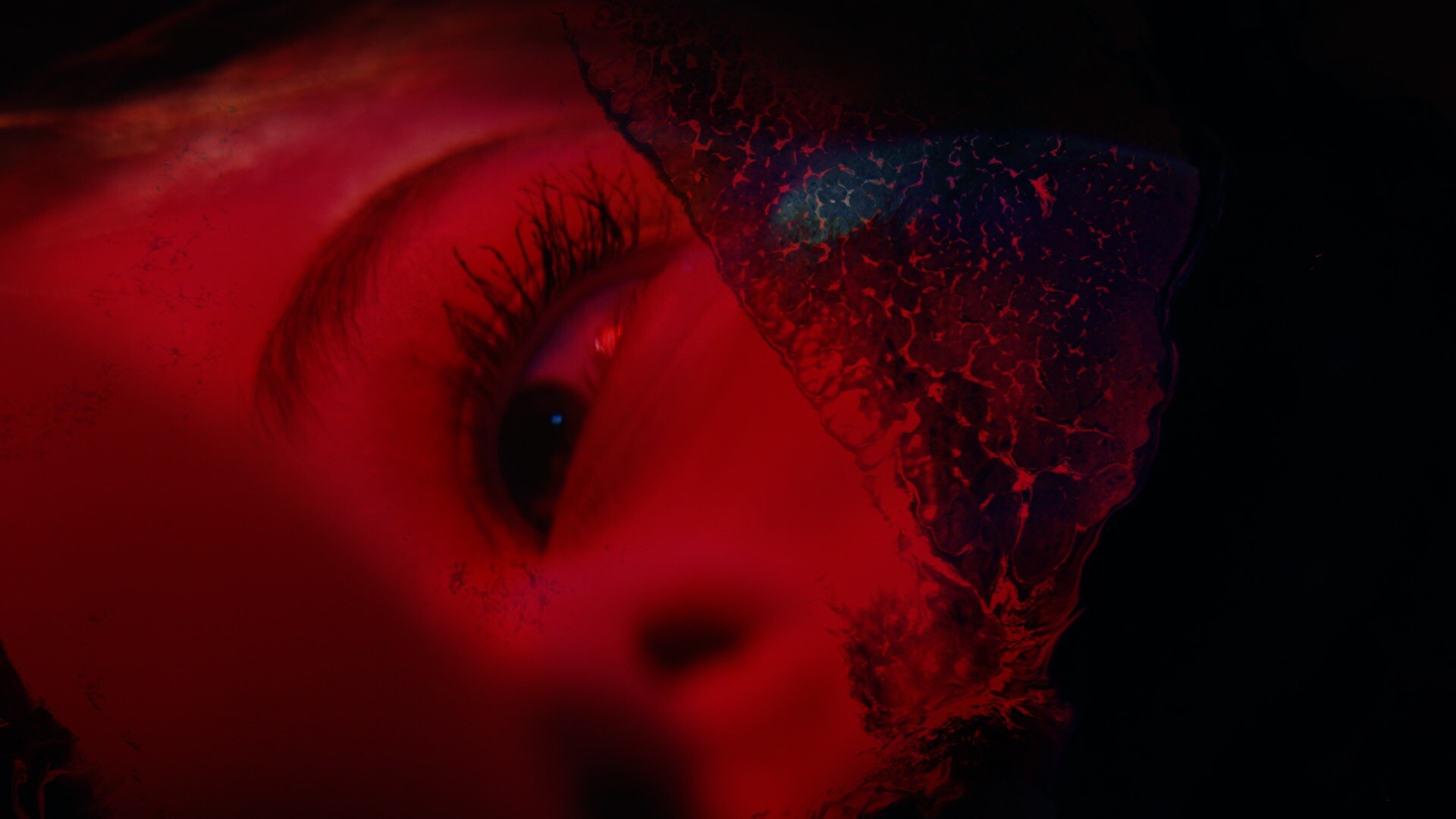 Immortality developer Sam Barlow has announced two new horror games | VGC Immortality developer Sam Barlow has announced two new horror games | VGC