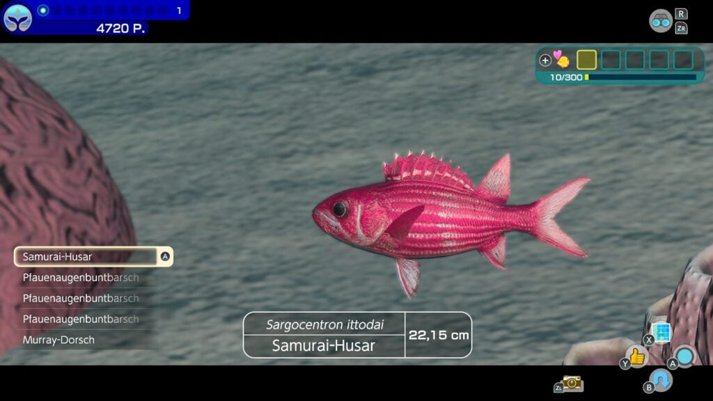 Endless Ocean is coming to Nintendo Switch with support for 30-players ...