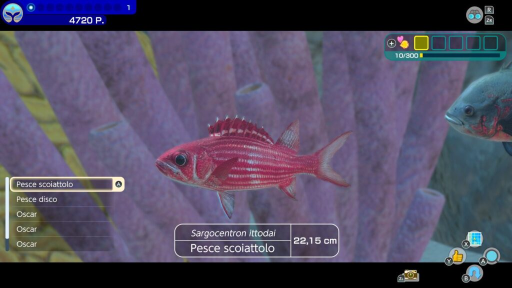 Endless Ocean is coming to Nintendo Switch with support for 30-players ...