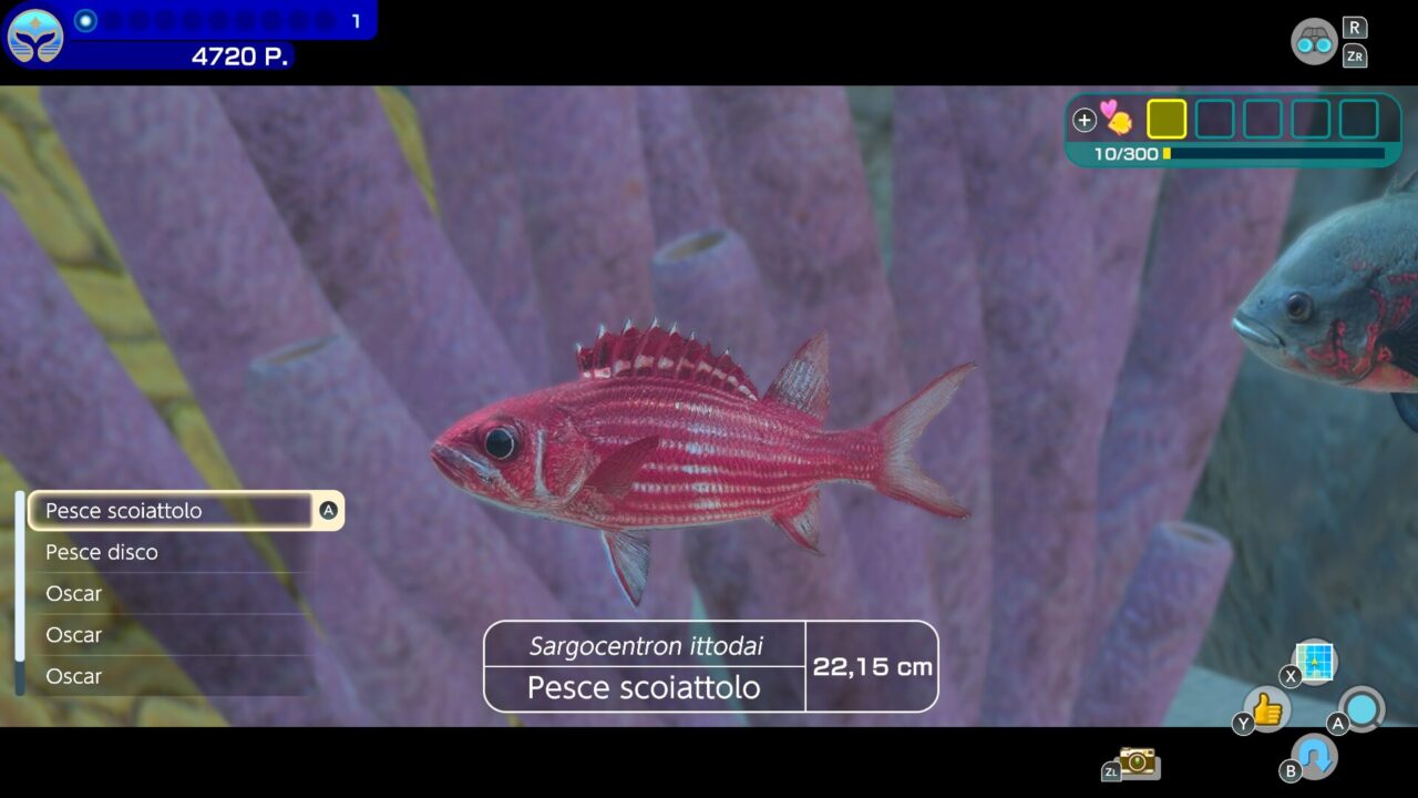 Endless Ocean is coming to Nintendo Switch with support for 30-players ...