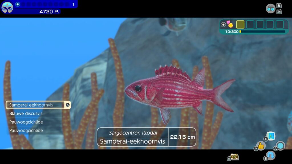 Endless Ocean is coming to Nintendo Switch with support for 30-players ...