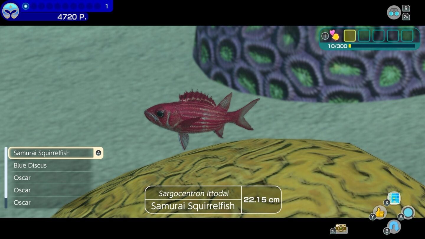 Endless Ocean is coming to Nintendo Switch with support for 30-players ...