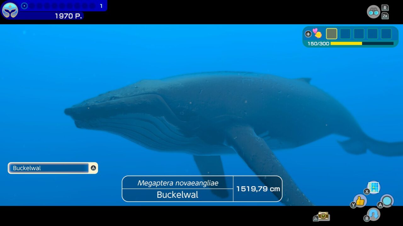 Endless Ocean is coming to Nintendo Switch with support for 30-players ...