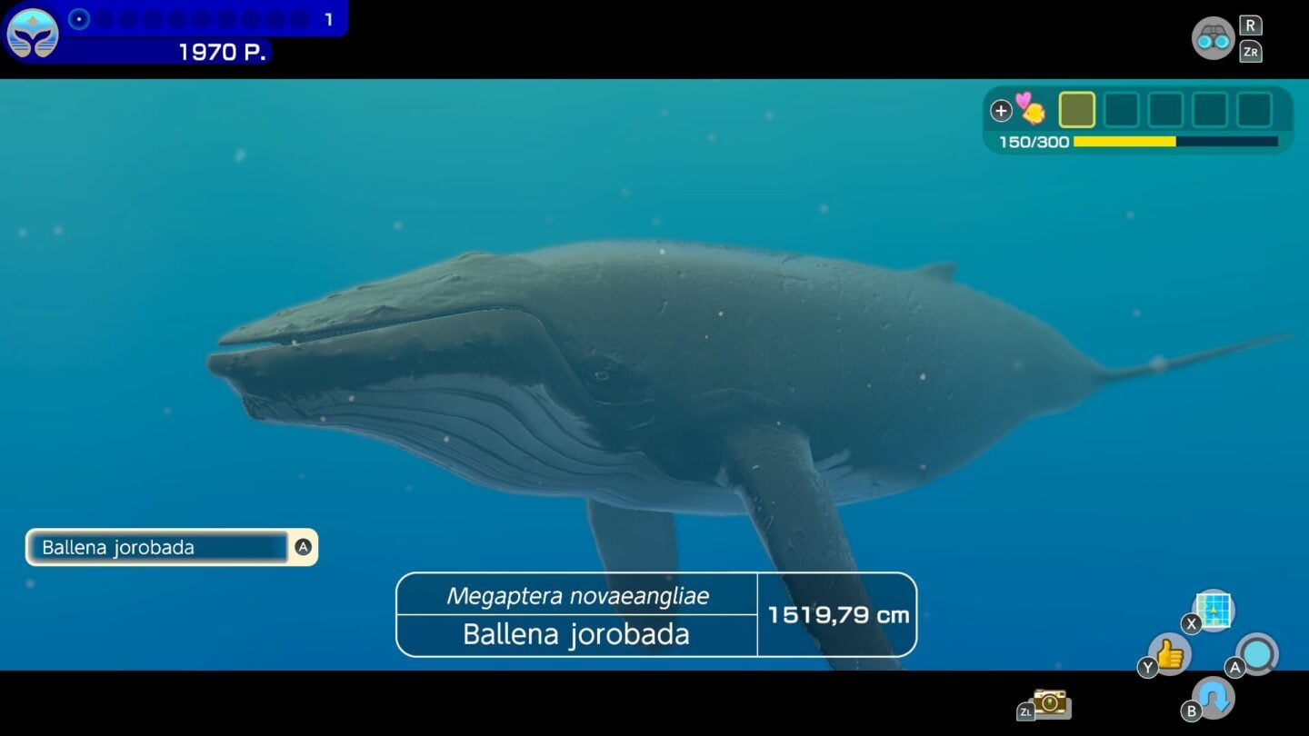 Endless Ocean is coming to Nintendo Switch with support for 30-players ...