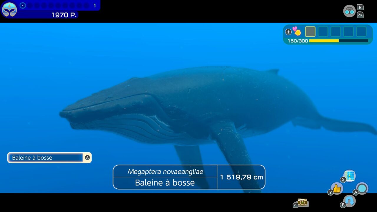 Endless Ocean is coming to Nintendo Switch with support for 30-players ...