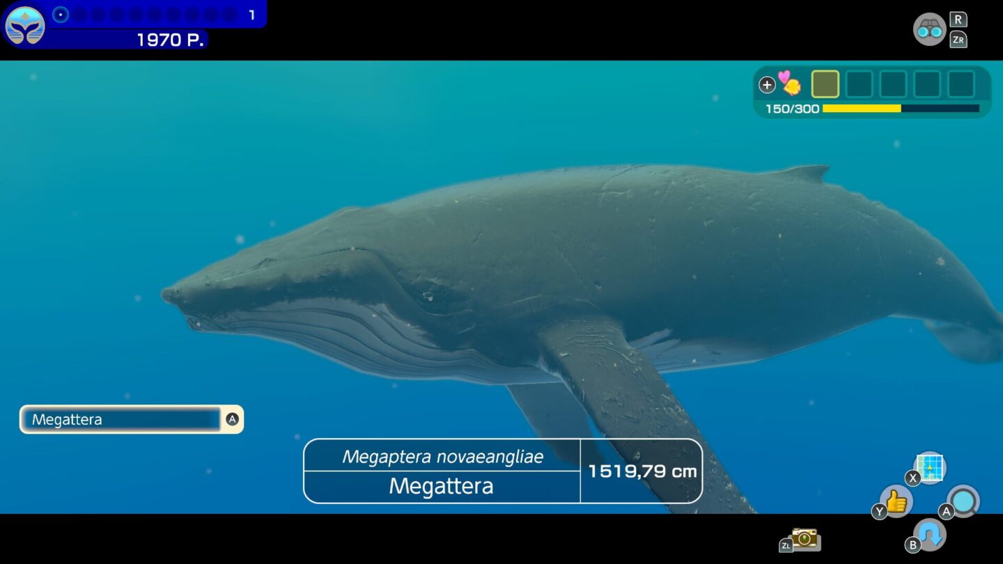 Endless Ocean is coming to Nintendo Switch with support for 30-players ...