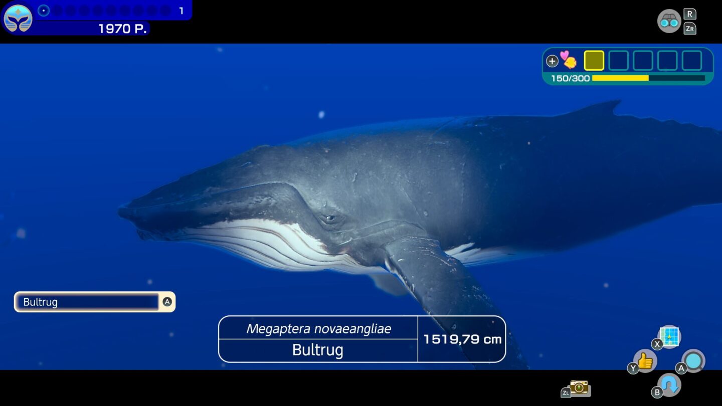 Endless Ocean is coming to Nintendo Switch with support for 30-players ...