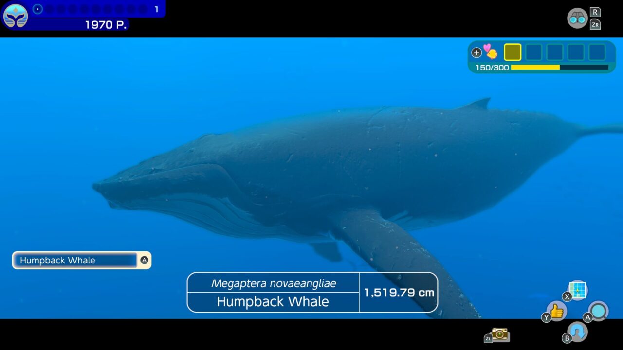 Endless Ocean is coming to Nintendo Switch with support for 30-players ...