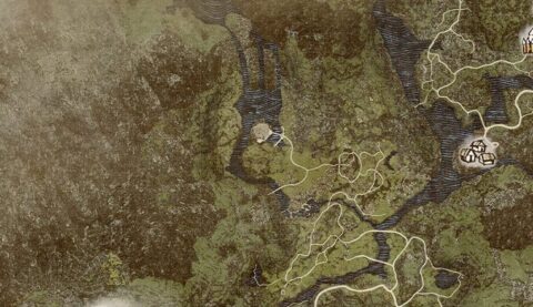 Dragon’s Dogma 2 - How to learn Elvish | VGC