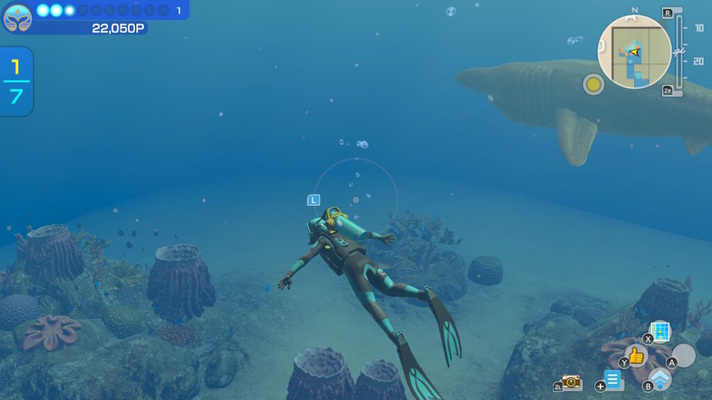 Review: Endless Ocean Luminous is a one-trick seahorse, but a pleasant ...
