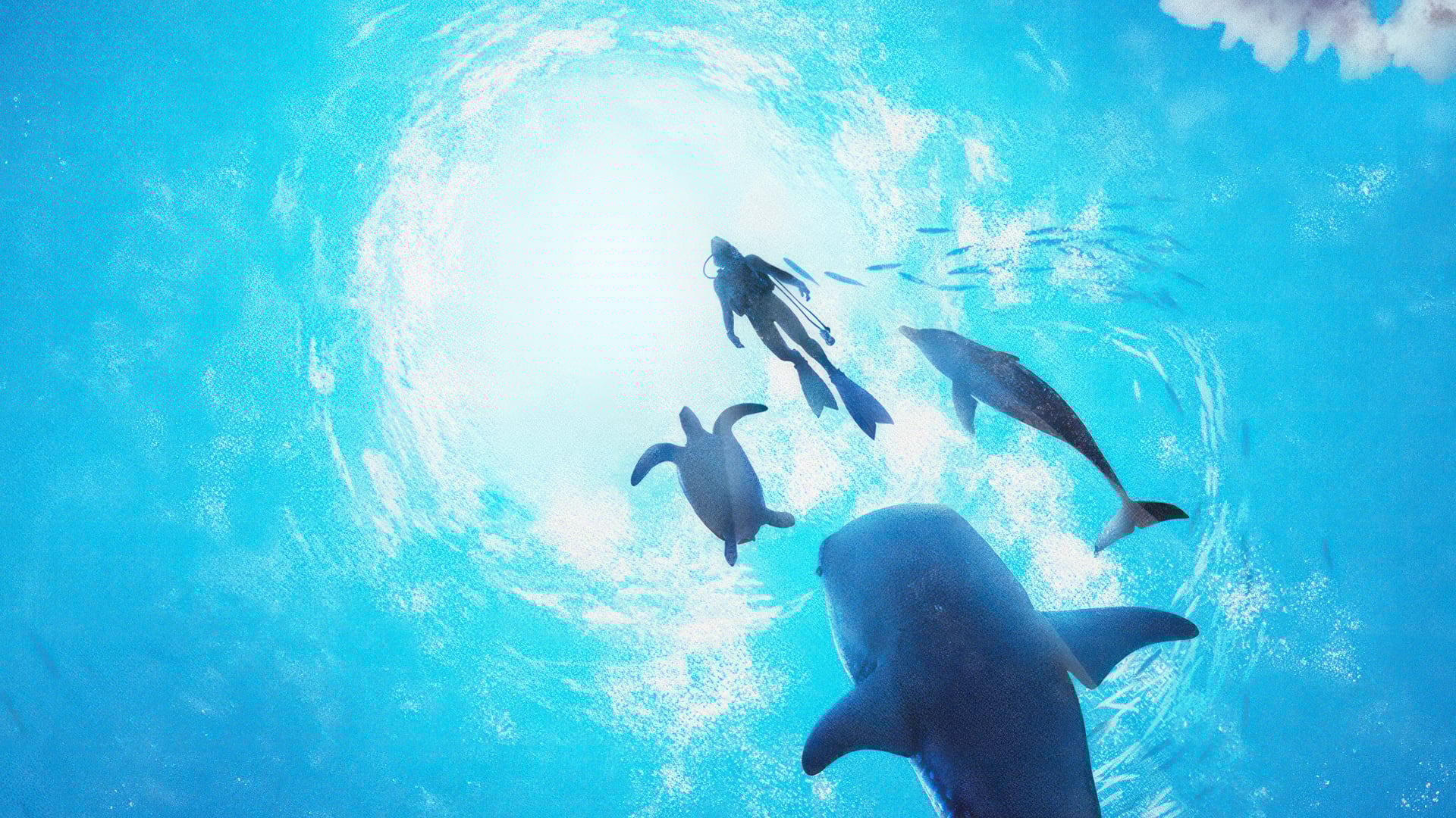 Endless Ocean Luminous | VGC