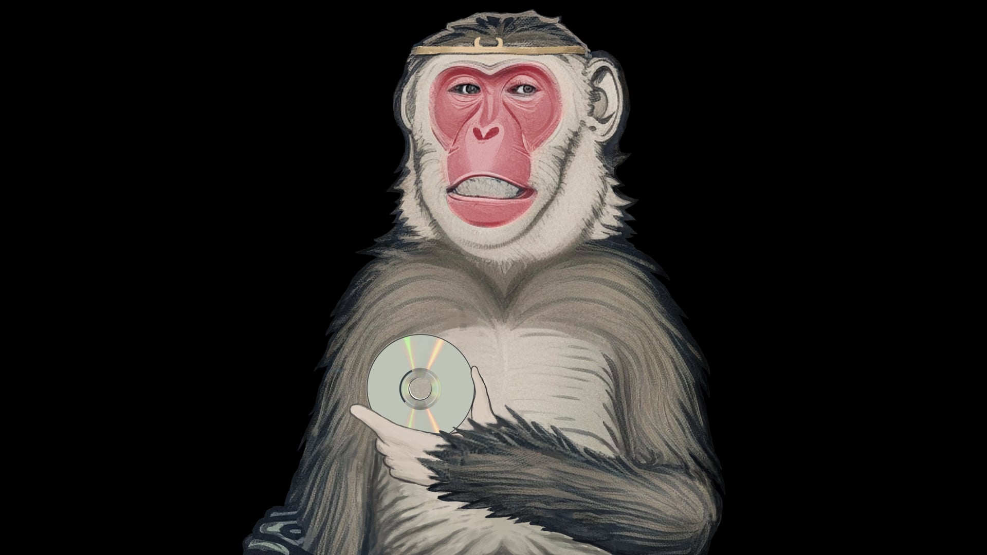 Gaming News | VGC - Video Games Chronicle